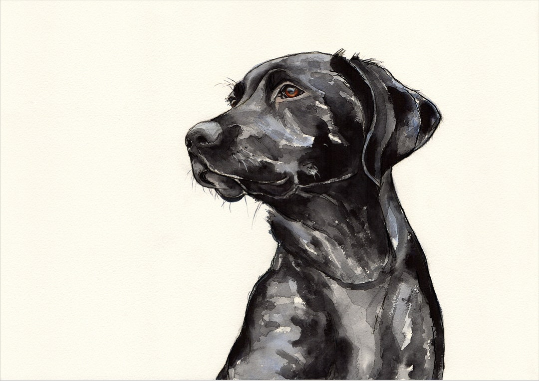 Black Labrador LIMITED EDITION Fine Art Giclée Print, Wall Art, Nursery ...