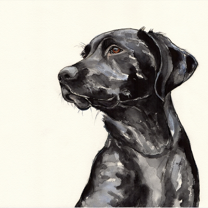 Black Dog Art - Etsy