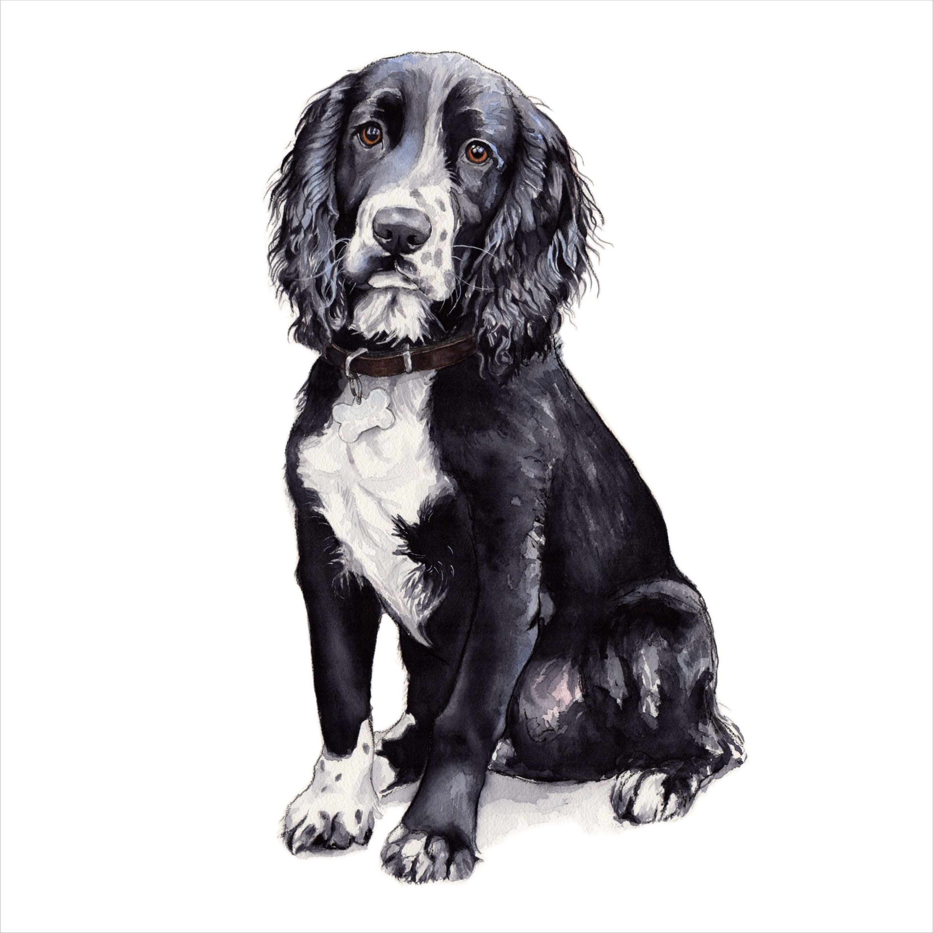Black and White SPANIEL Fine Art Giclée Print, Wall Art, Nursery Art ...