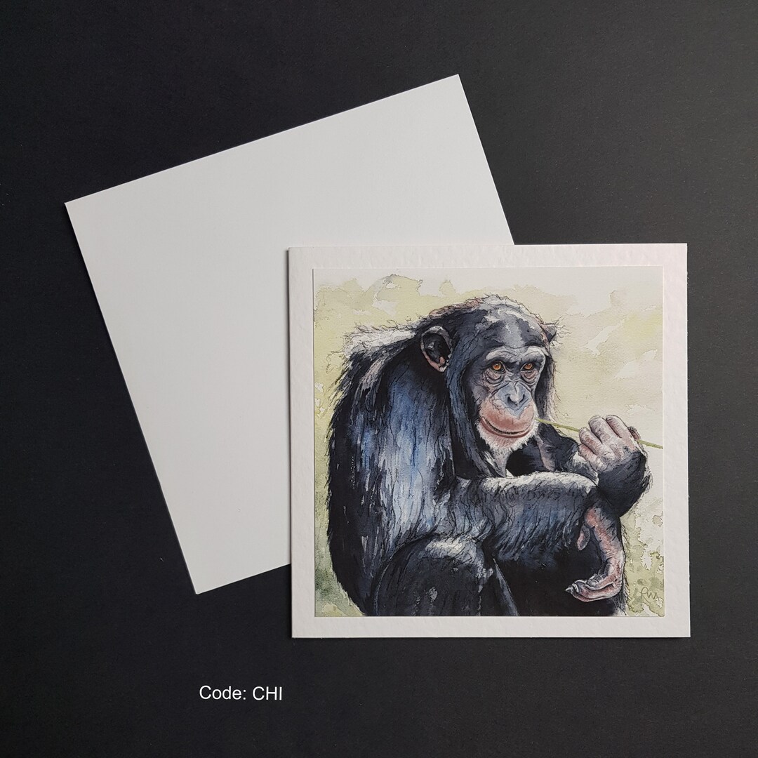 Laid Back Chimpanzee - 6x6in Square Greetings Card. Hammered 300gm Card ...