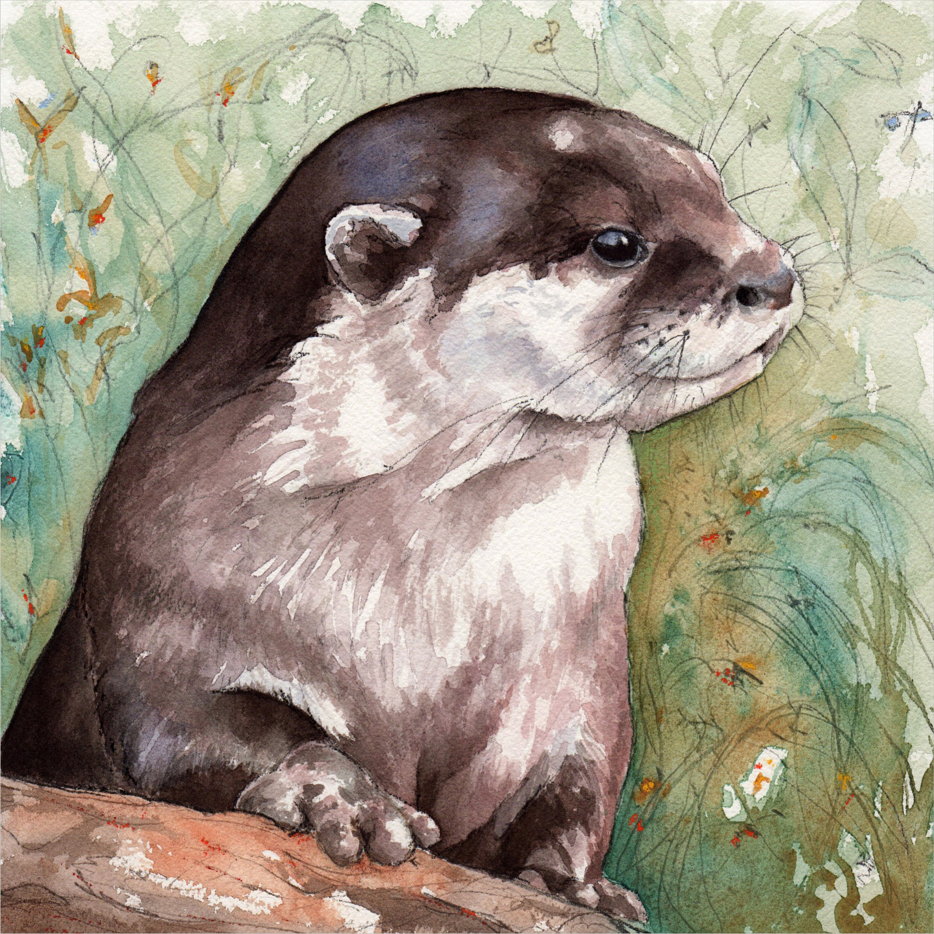 Otter on Riverbank Giclée Print, Wall Art, Nursery Art, Otter Print ...