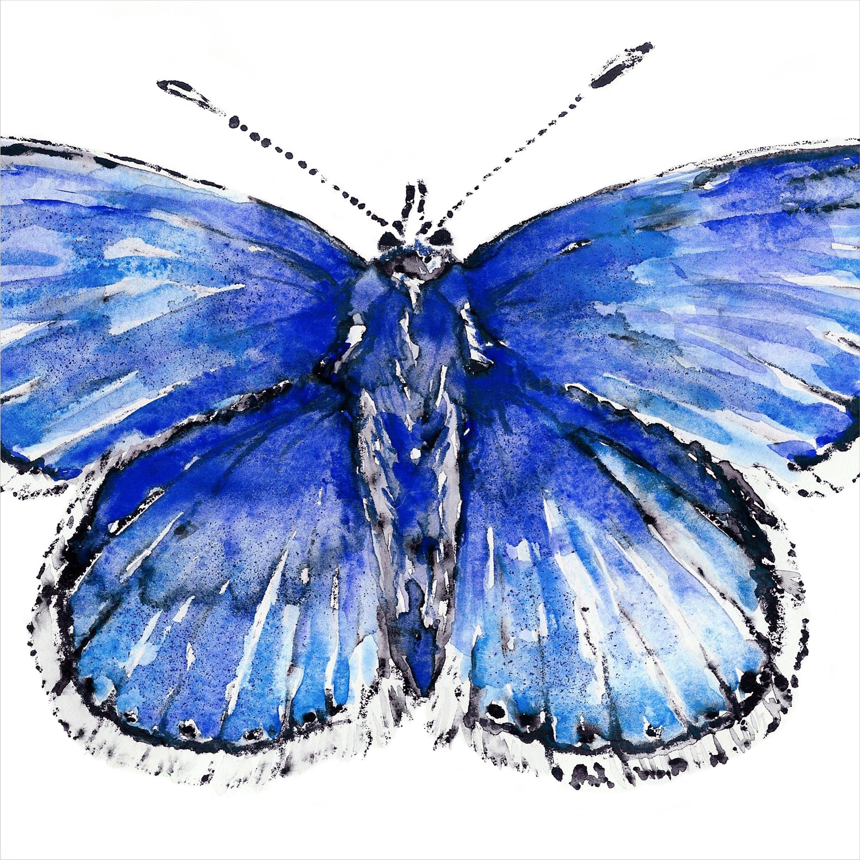 Adonis Blue Butterfly Print, Wall Art, Nursery Art, Butterfly Print ...