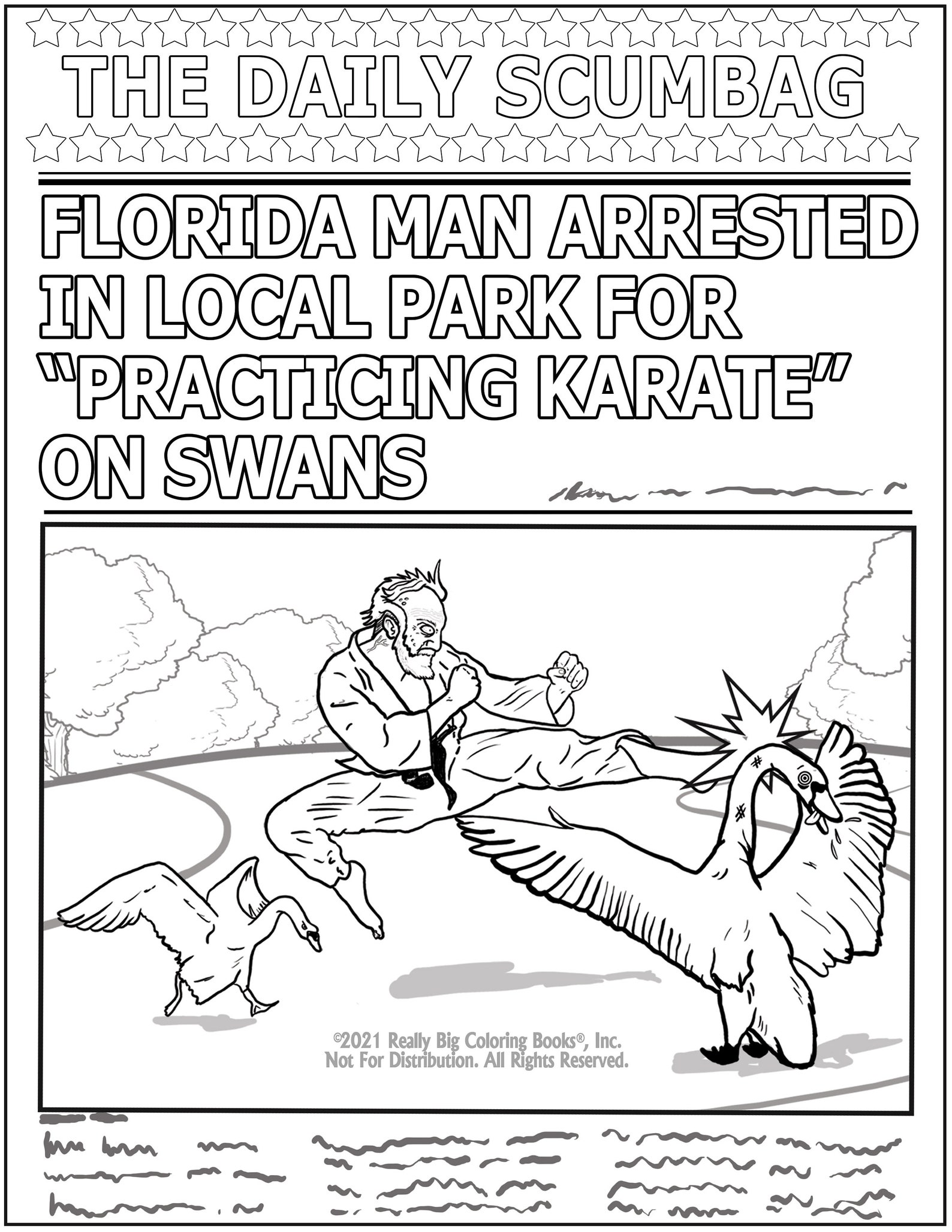 Florida Man Satirical Coloring Book - Etsy