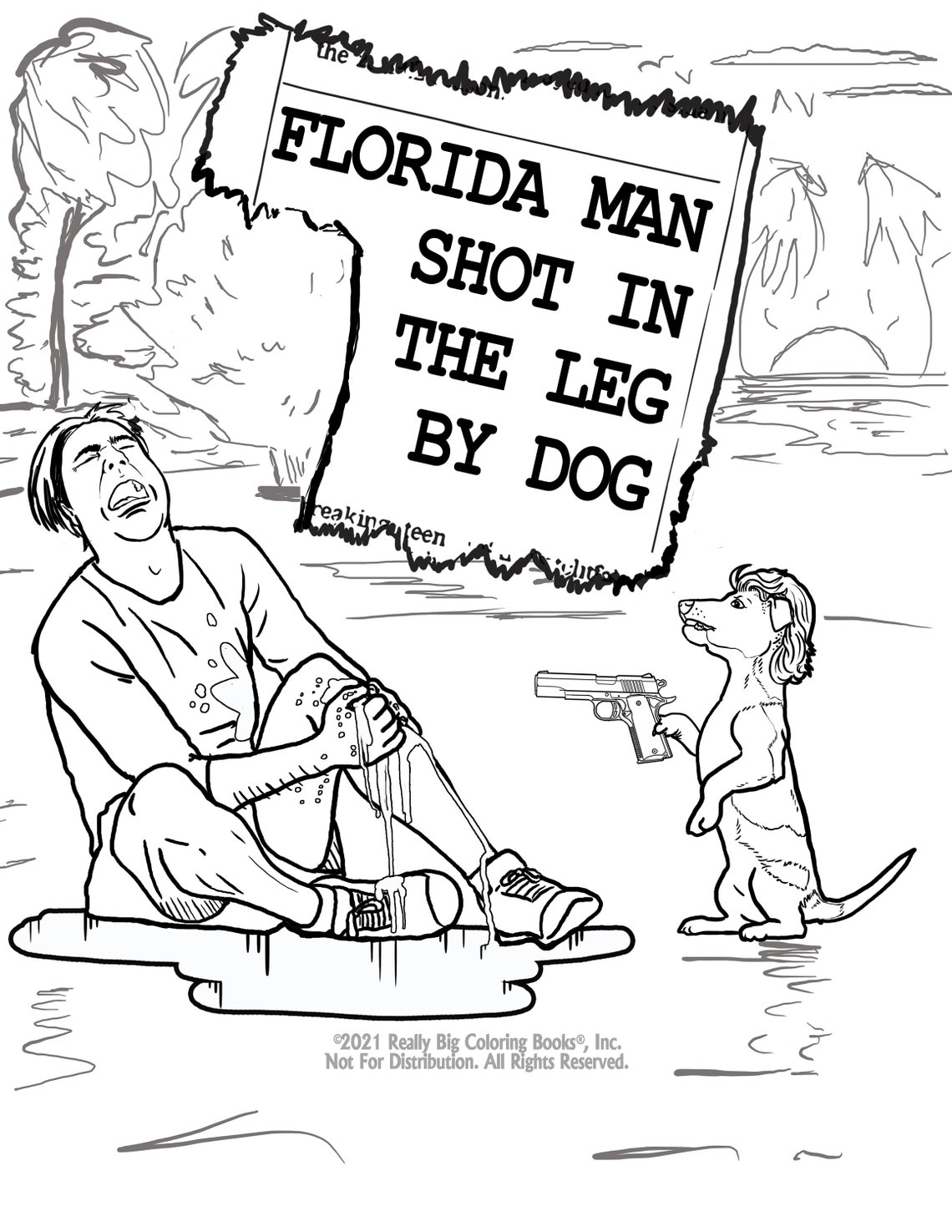 Florida Man Satirical Coloring Book - Etsy