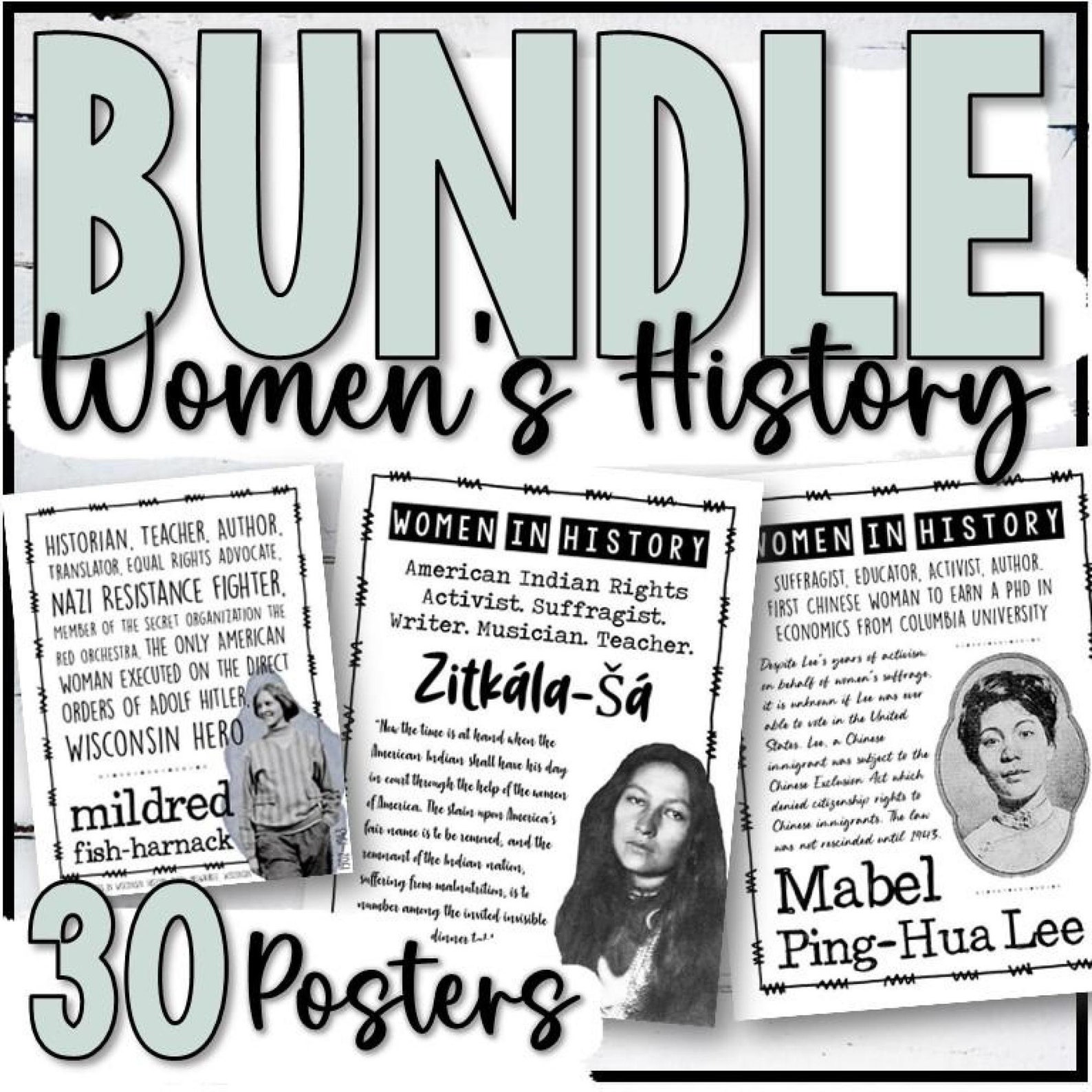 Women's History Bulletin Board Poster Set - Etsy