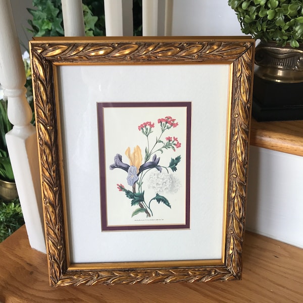 Gold Frame Botanical Print - Etsy