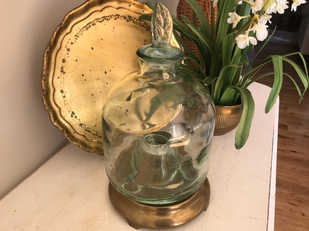 Vintage Glass Wasp Catcher - Glass Bee/fly Catcher - Blown Glass Insect ...