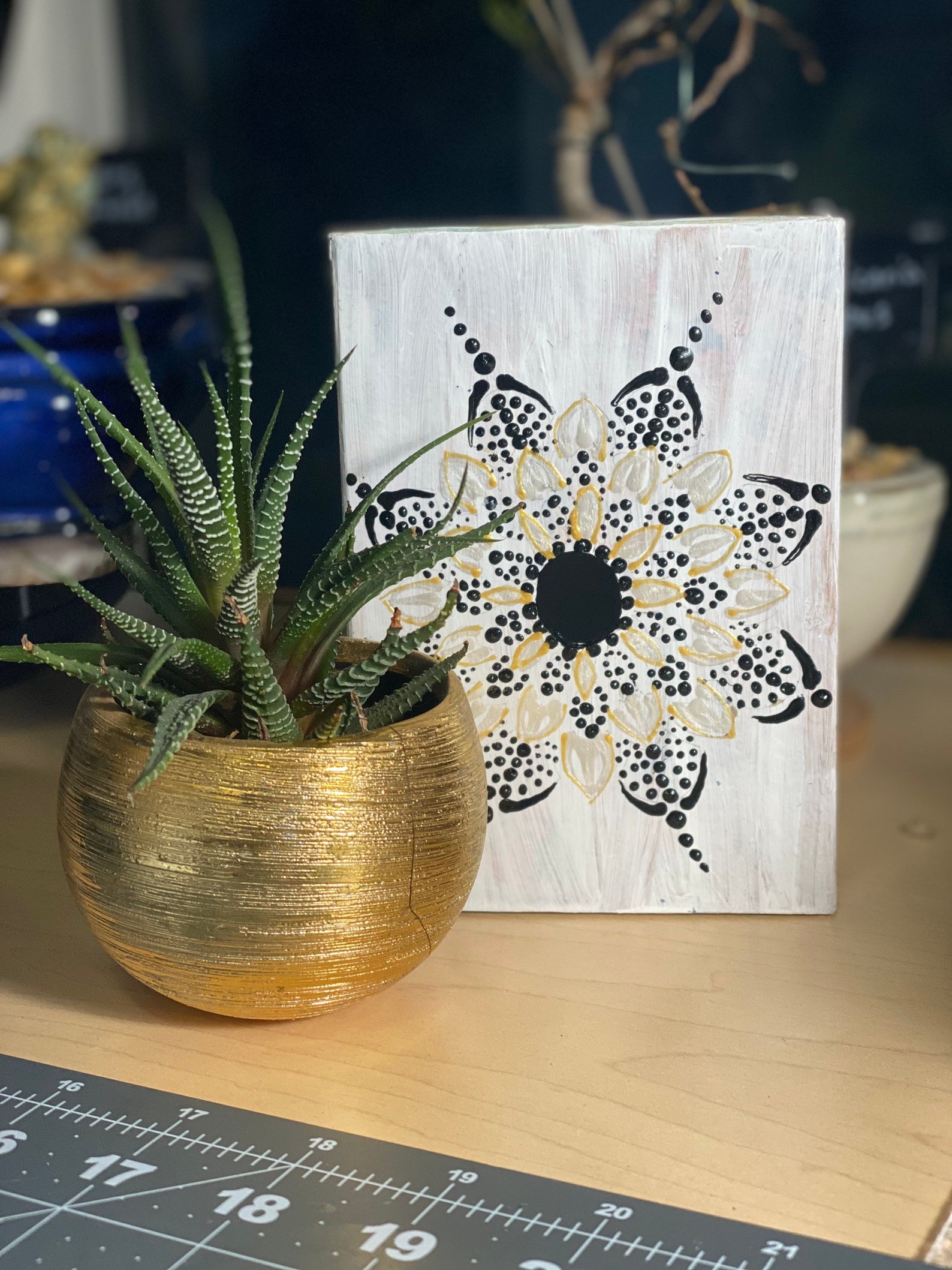 Spy Camera Enclosure Pot Custom Made - Etsy