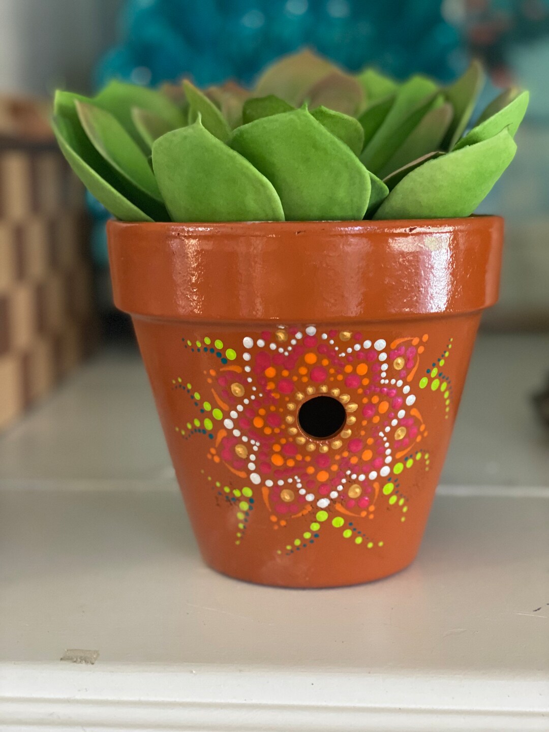 Spy Camera Enclosure Pot With Fake Plant - Etsy UK