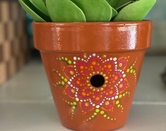 Spy Camera Enclosure Pot With Plant Upgrade - Etsy