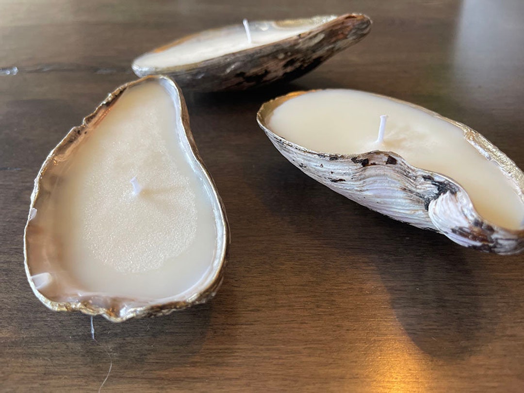 Shell Candles - Etsy