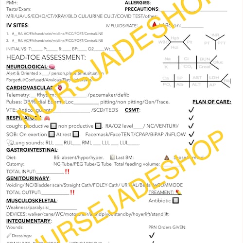 Emergency Room Nurse Report Sheet Organizational Tool for ER - Etsy