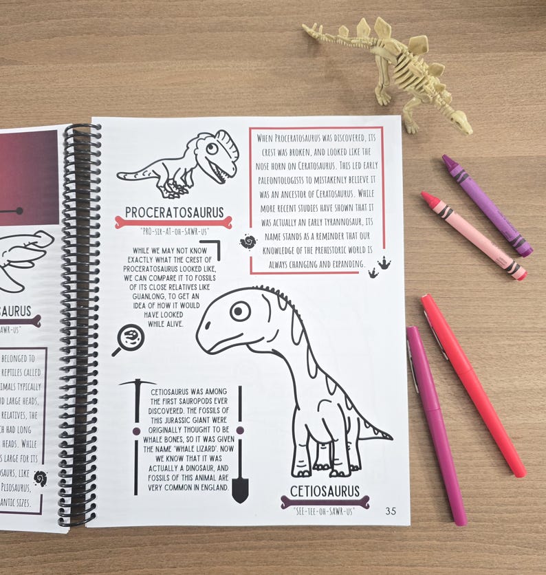 The Dinosaur Field Guide and Coloring Book for Young Paleontologists - Etsy