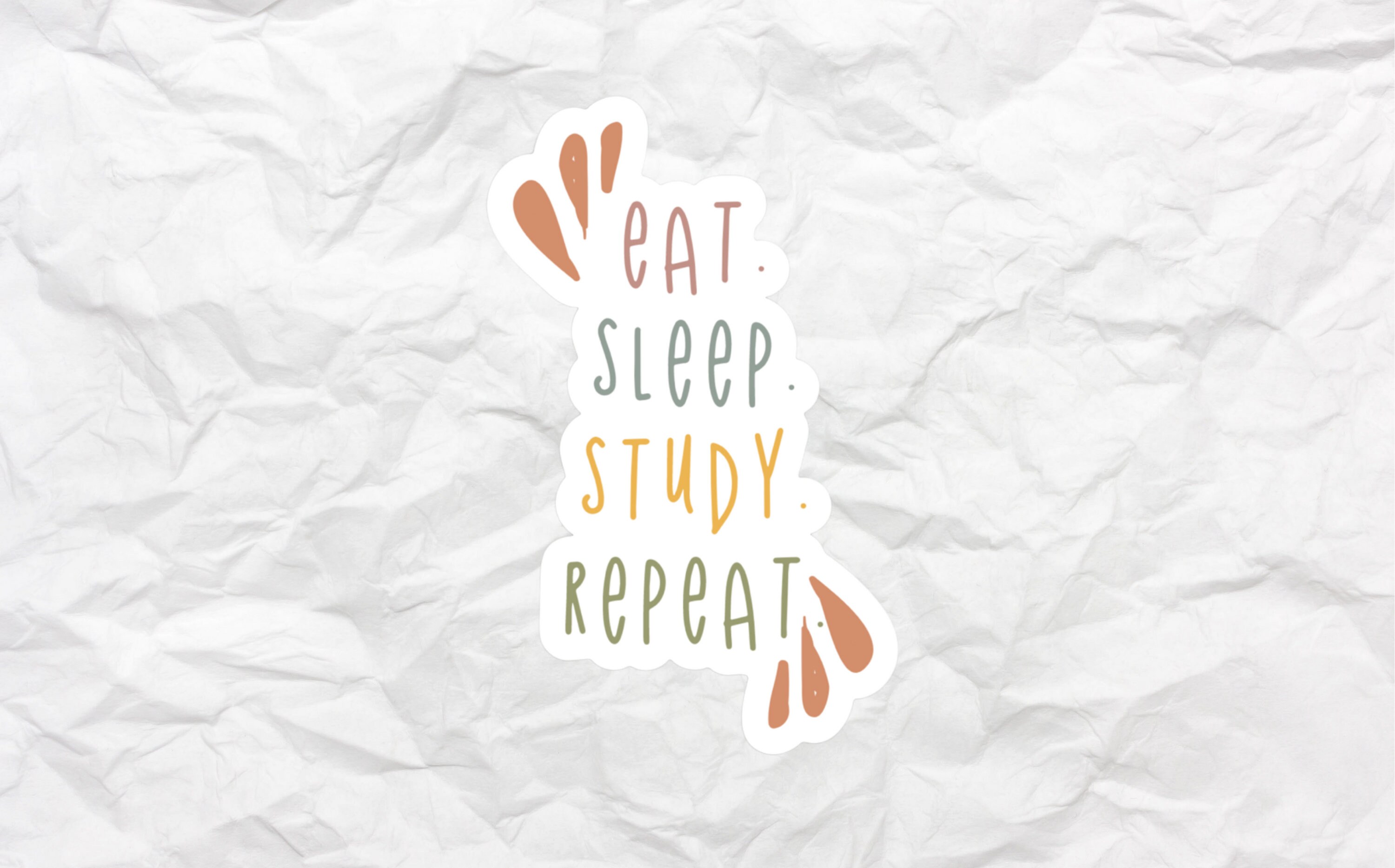 Eat, Sleep, Study, Repeat Sticker - Etsy