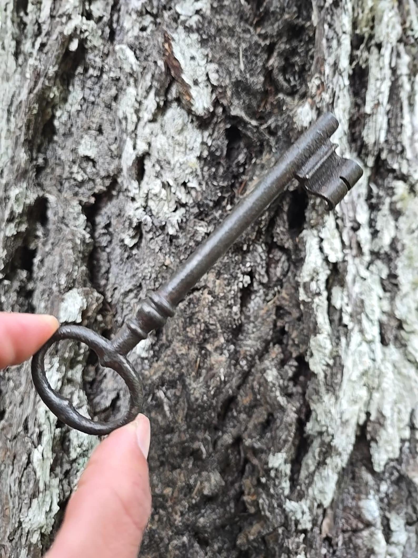 1870s Large English Iron Key. 1 Big Antique Metal Skeleton Key. Almost ...