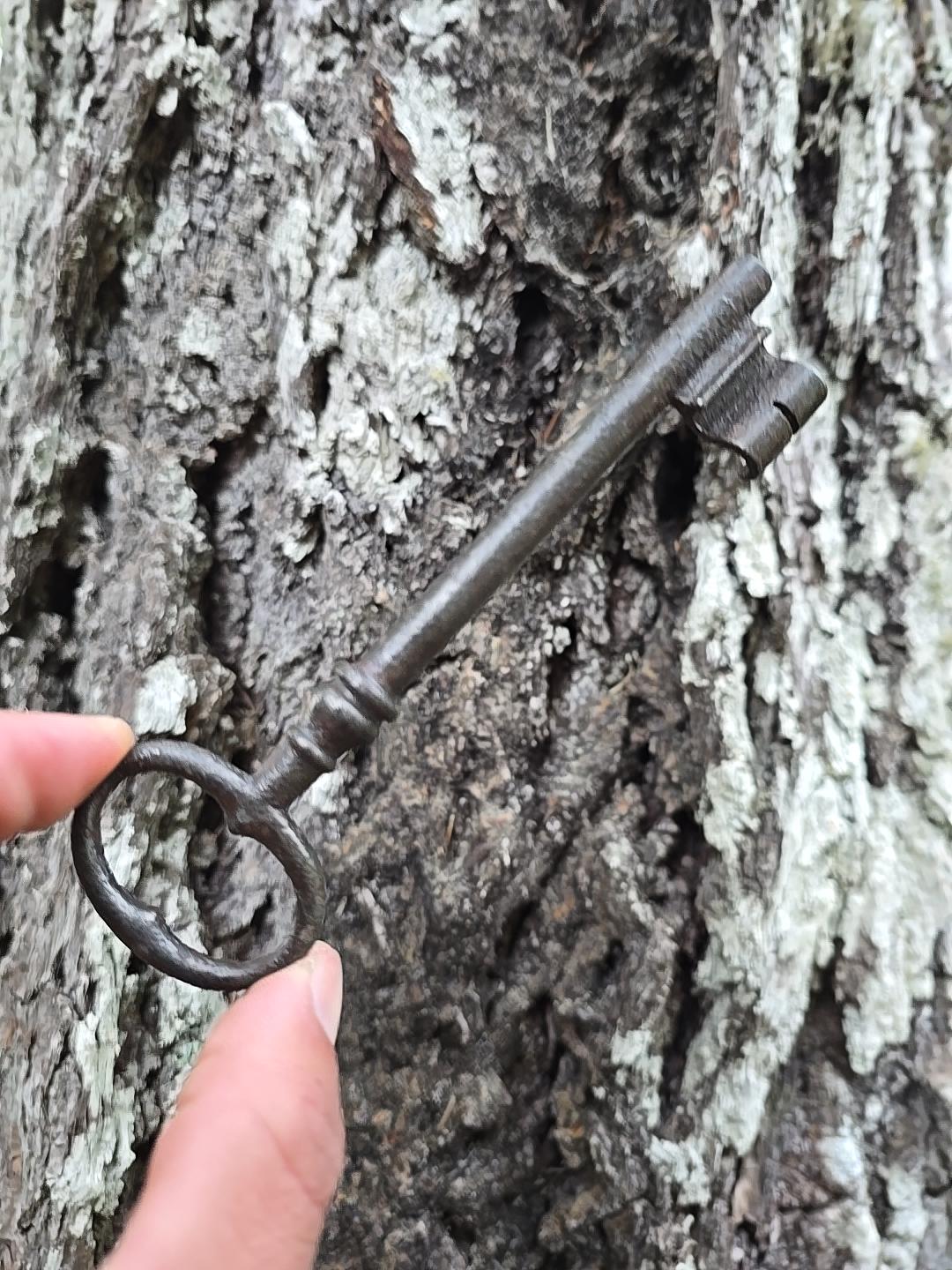 1870s Large English Iron Key. 1 Big Antique Metal Skeleton Key. Almost ...