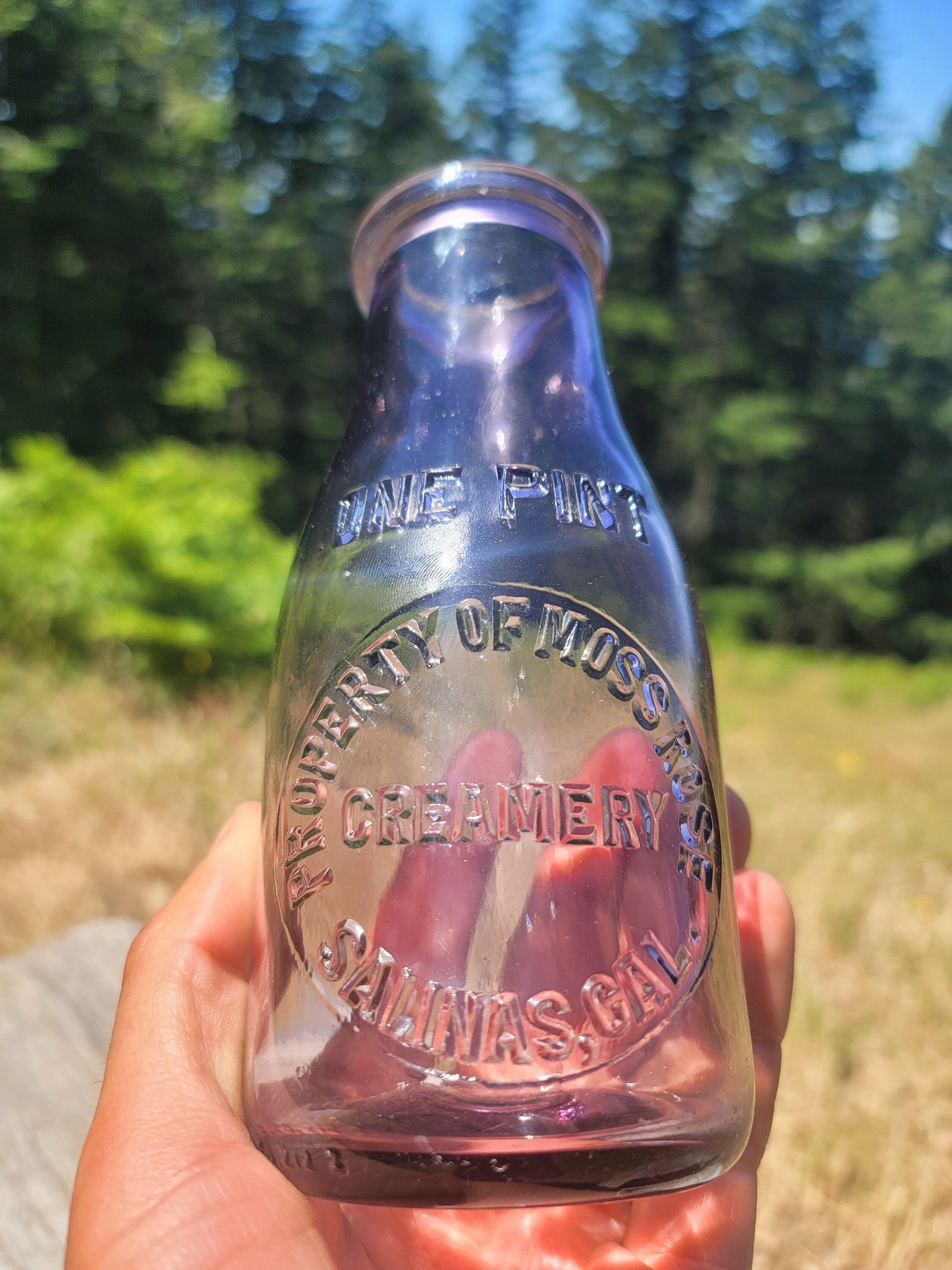 CHOICE 1910s Western Milk Amethyst Moss Rose Creamery Salinas ...