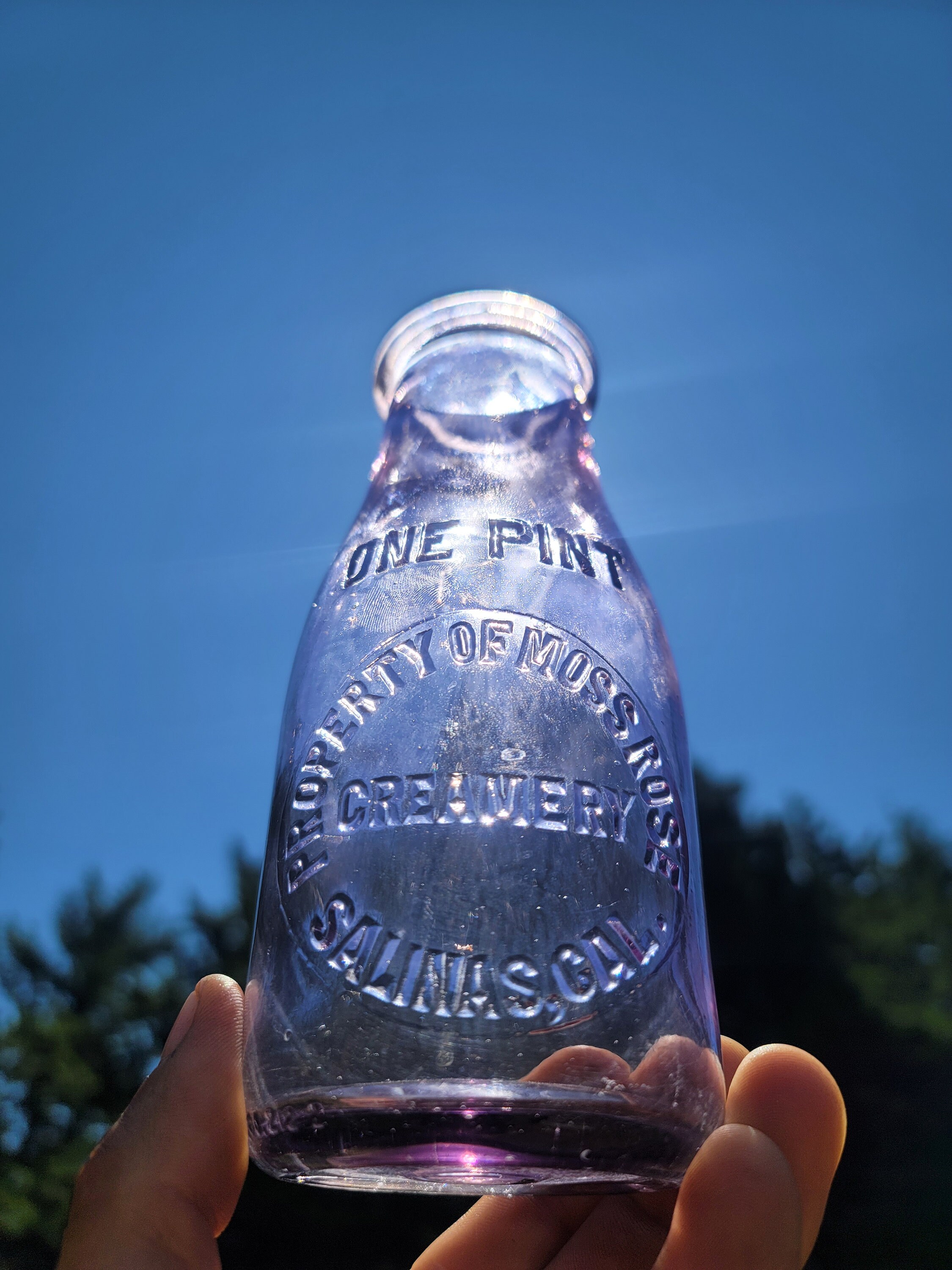 CHOICE 1910s Western Milk Amethyst Moss Rose Creamery Salinas ...