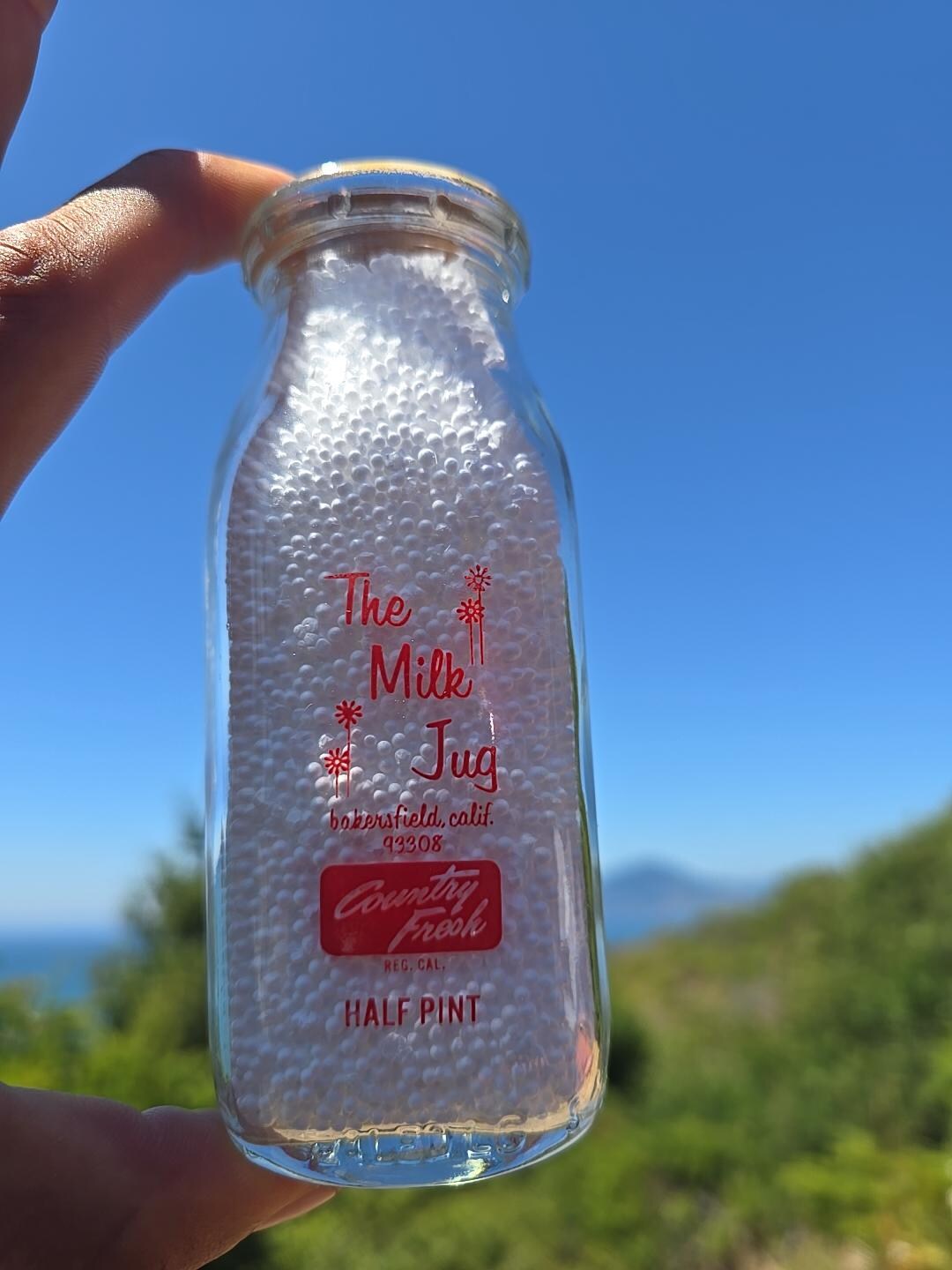 Old Mini Western Milk! Half Pint Bakersfield California Dairy Bottle ...