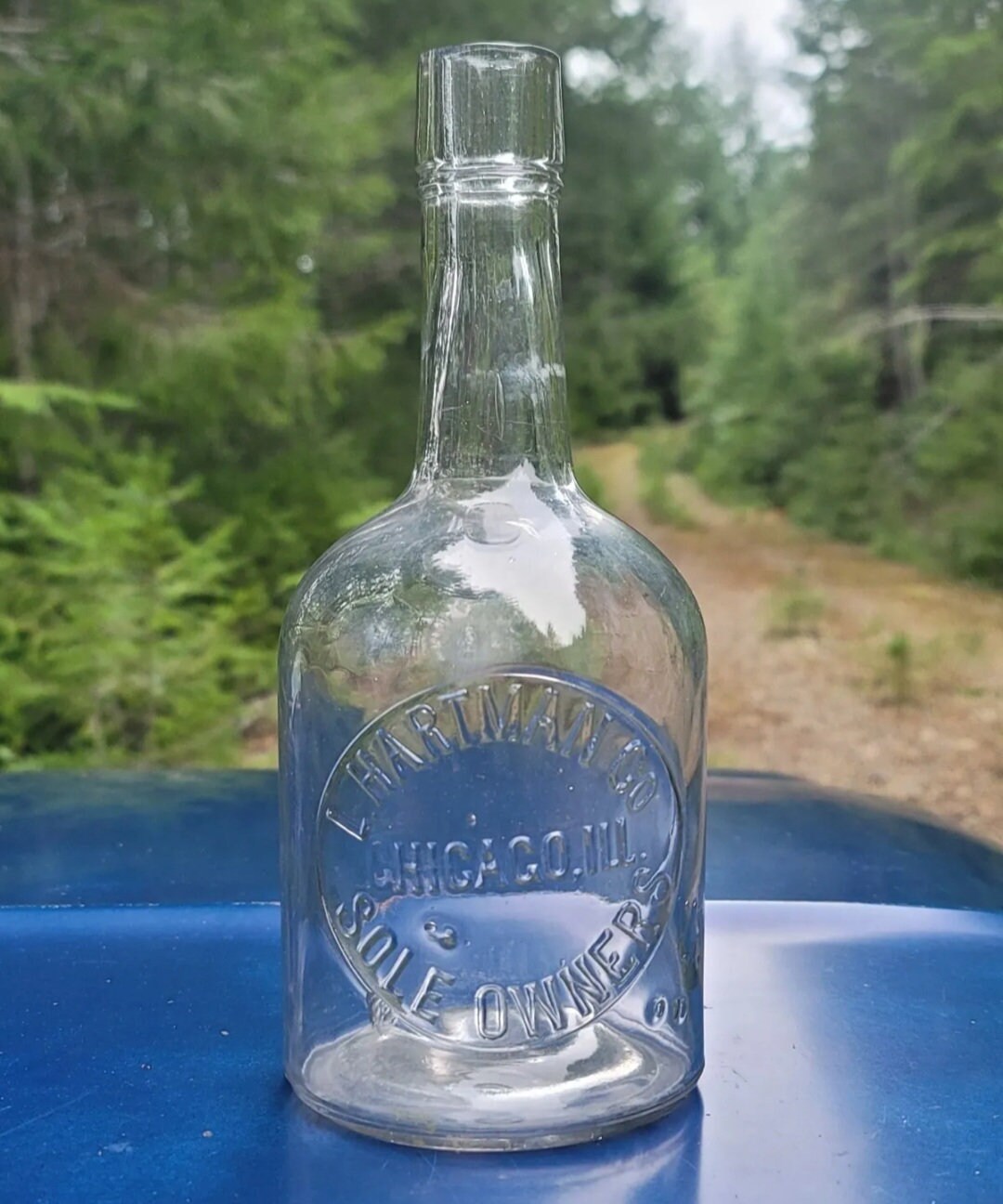 Exceptional Old Stout Chicago Whiskey! Antique L. Hartman Co. Illinois ...