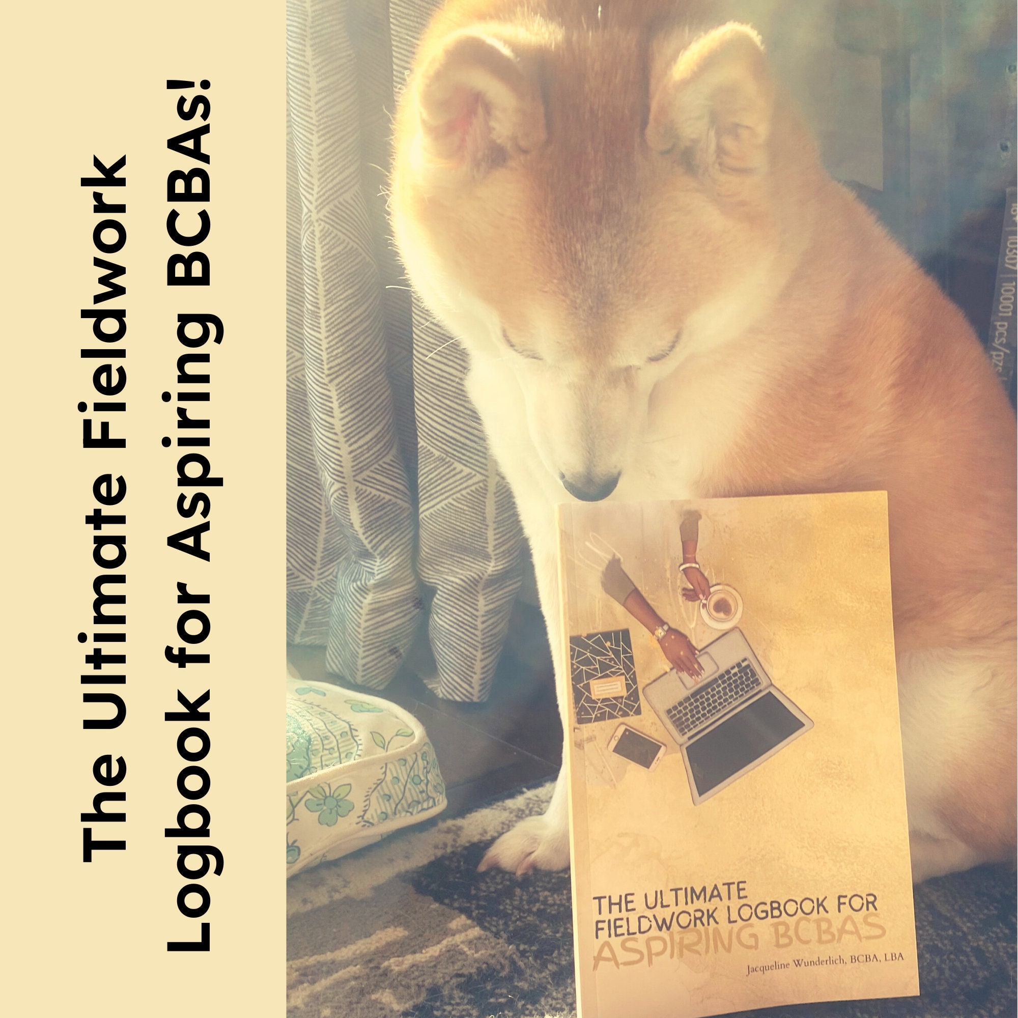 The Ultimate Fieldwork Log Book for Aspiring Board Certified Behavior ...