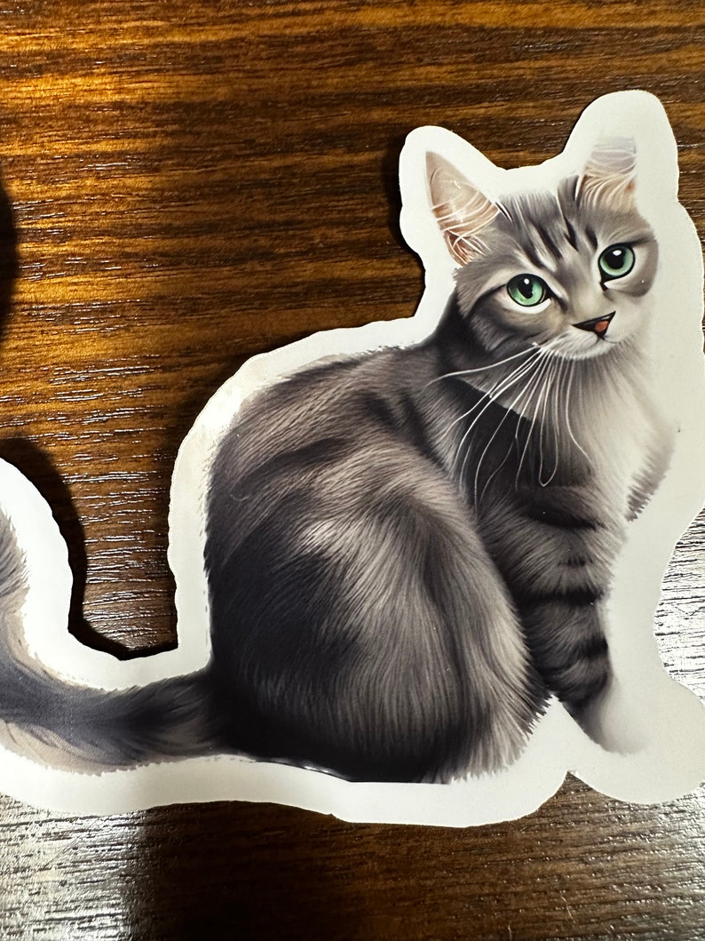 Custom Hand Made Vinyl Sticker of Your Pet, 10-pk, Custom Stickers, Cat ...