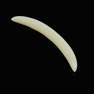 Bone CURVED SEPTUM TUSK, Tribal Septum, Nose Pincher, Bone Handmade ...