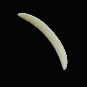 Bone CURVED SEPTUM TUSK, Tribal Septum, Nose Pincher, Bone Handmade ...