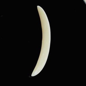 Bone CURVED SEPTUM TUSK, Tribal Septum, Nose Pincher, Bone Handmade ...