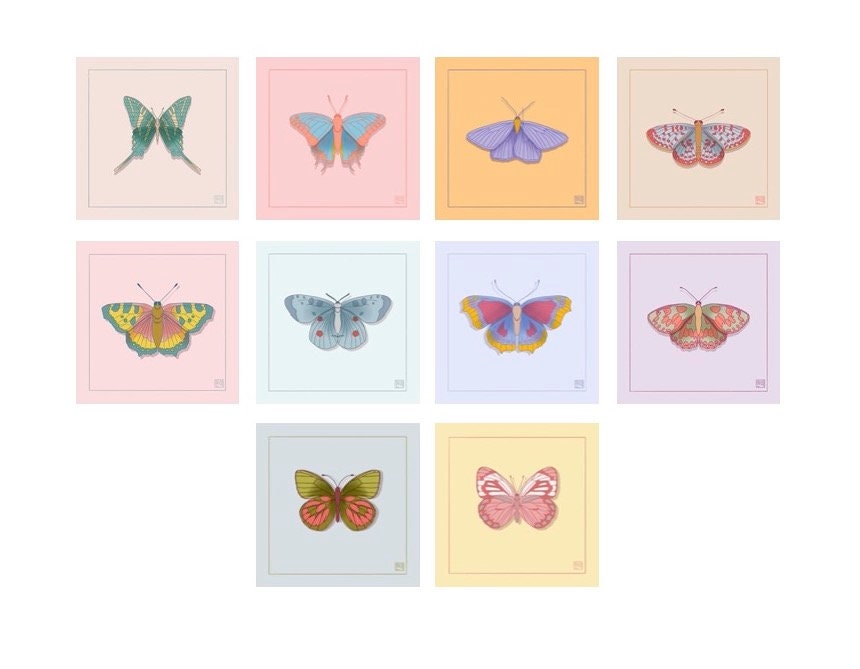 Butterfly Cards - Etsy