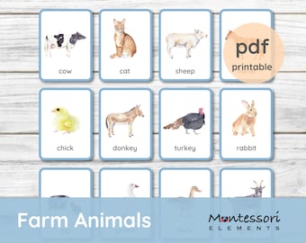 Montessori Farm Animal 3 Part Cards - Etsy Ireland