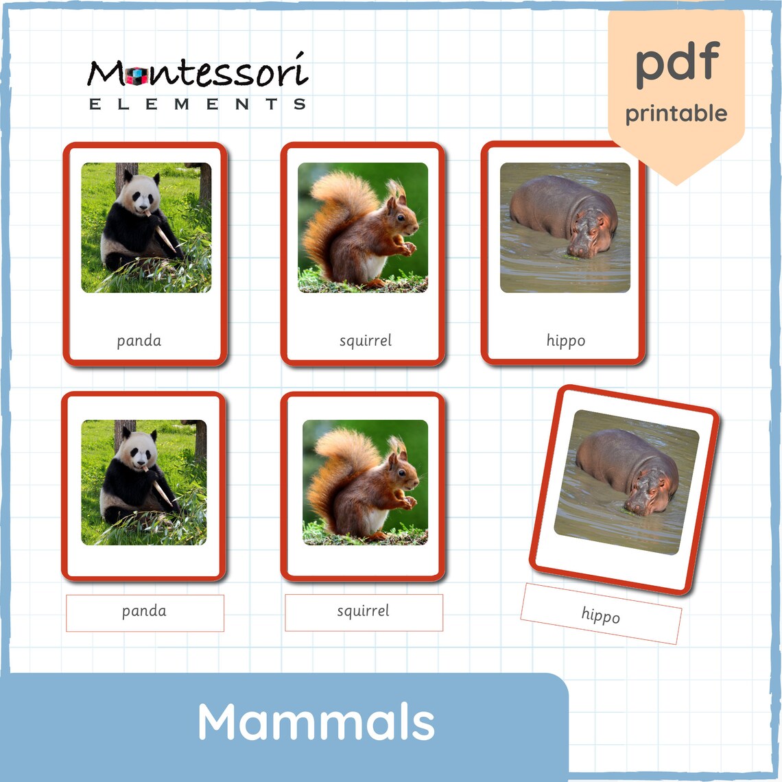 MAMMALS - Montessori Cards, Nomenclature Cards, Montessori Printables ...