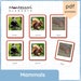 MAMMALS - Montessori Cards, Nomenclature Cards, Montessori Printables ...