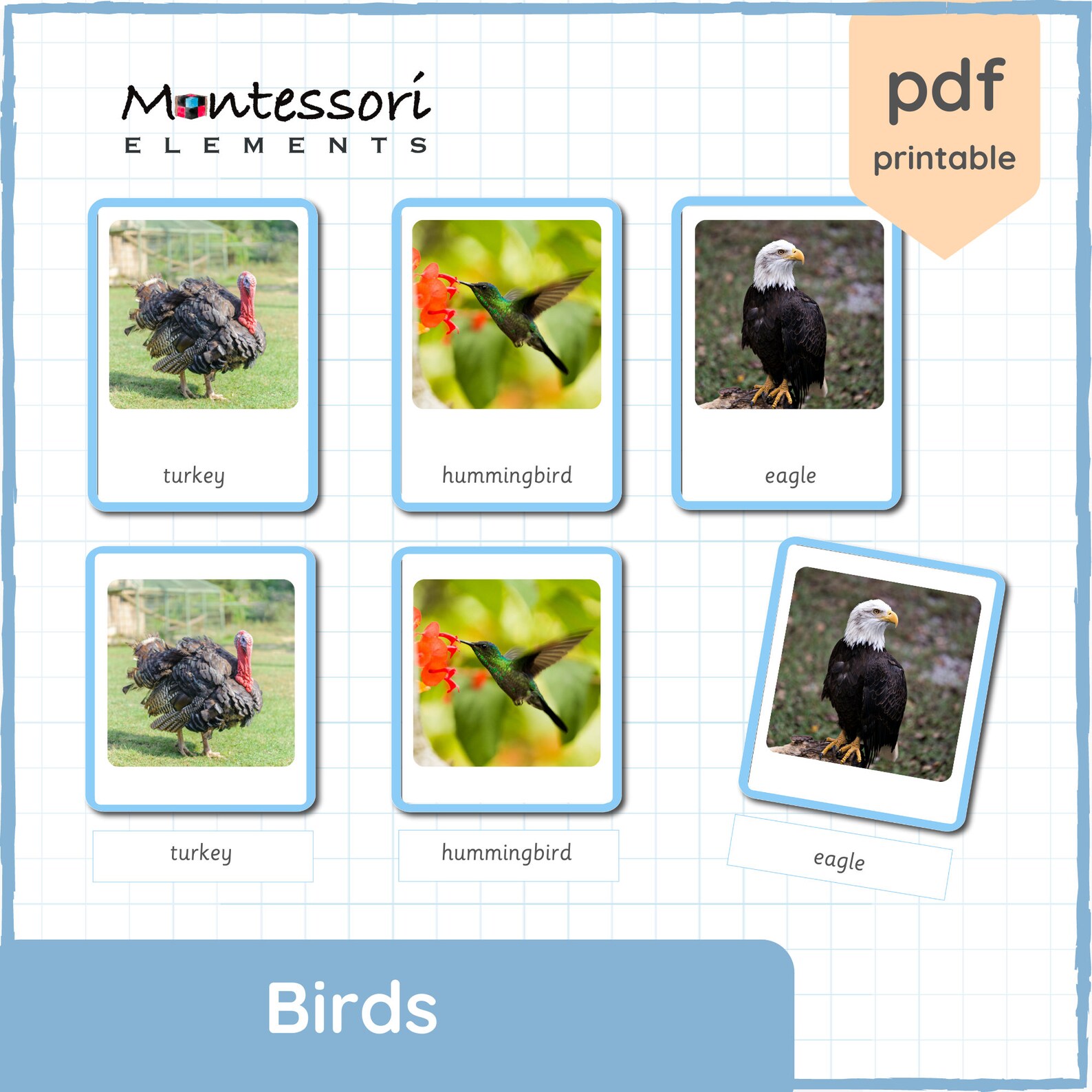 BIRDS - Montessori Cards, Nomenclature Cards, Montessori Printables ...