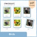 BIRDS - Montessori Cards, Nomenclature Cards, Montessori Printables ...