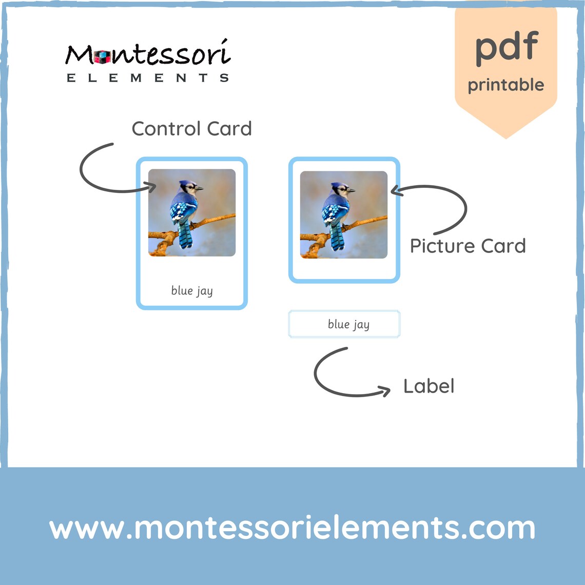 BIRDS - Montessori Cards, Nomenclature Cards, Montessori Printables ...