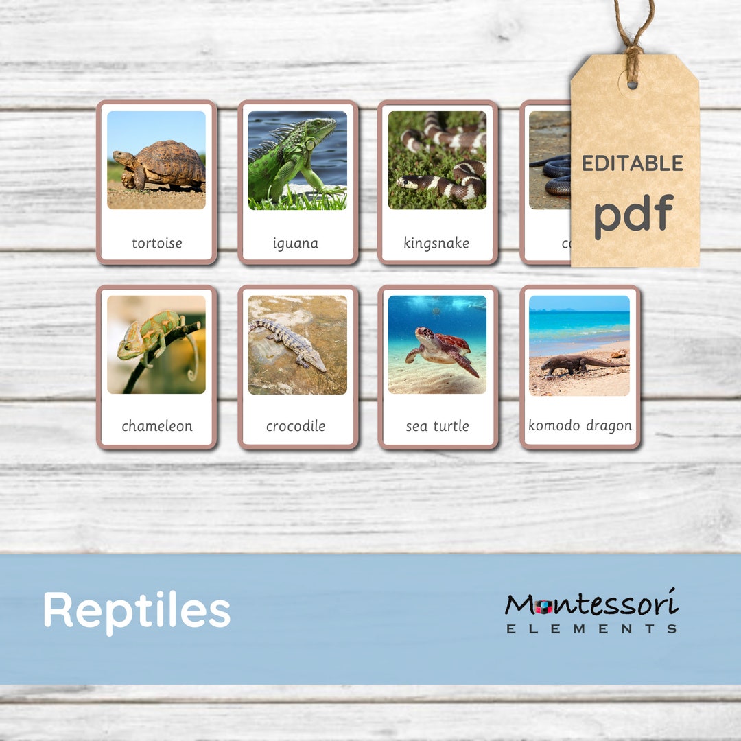 REPTILES - Montessori Cards, Nomenclature Cards, Montessori Printables ...