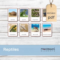 Montessori Classified Cards/ Nomenclature Phonetic Animals/ Printable ...