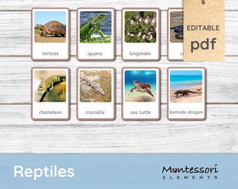 MAMMALS - Montessori Cards, Nomenclature Cards, Montessori Printables ...