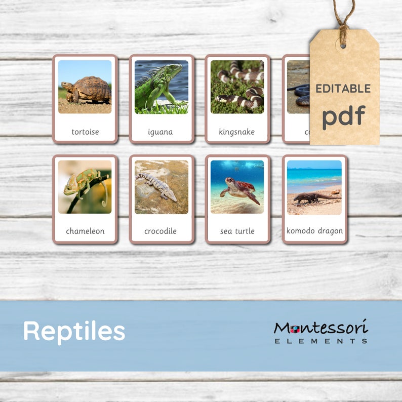 REPTILES - Montessori Cards, Nomenclature Cards, Montessori Printables ...