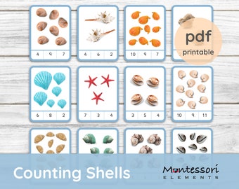 COUNTING COINS Clip Cards, Montessori Maths, Number Cards, Learning ...