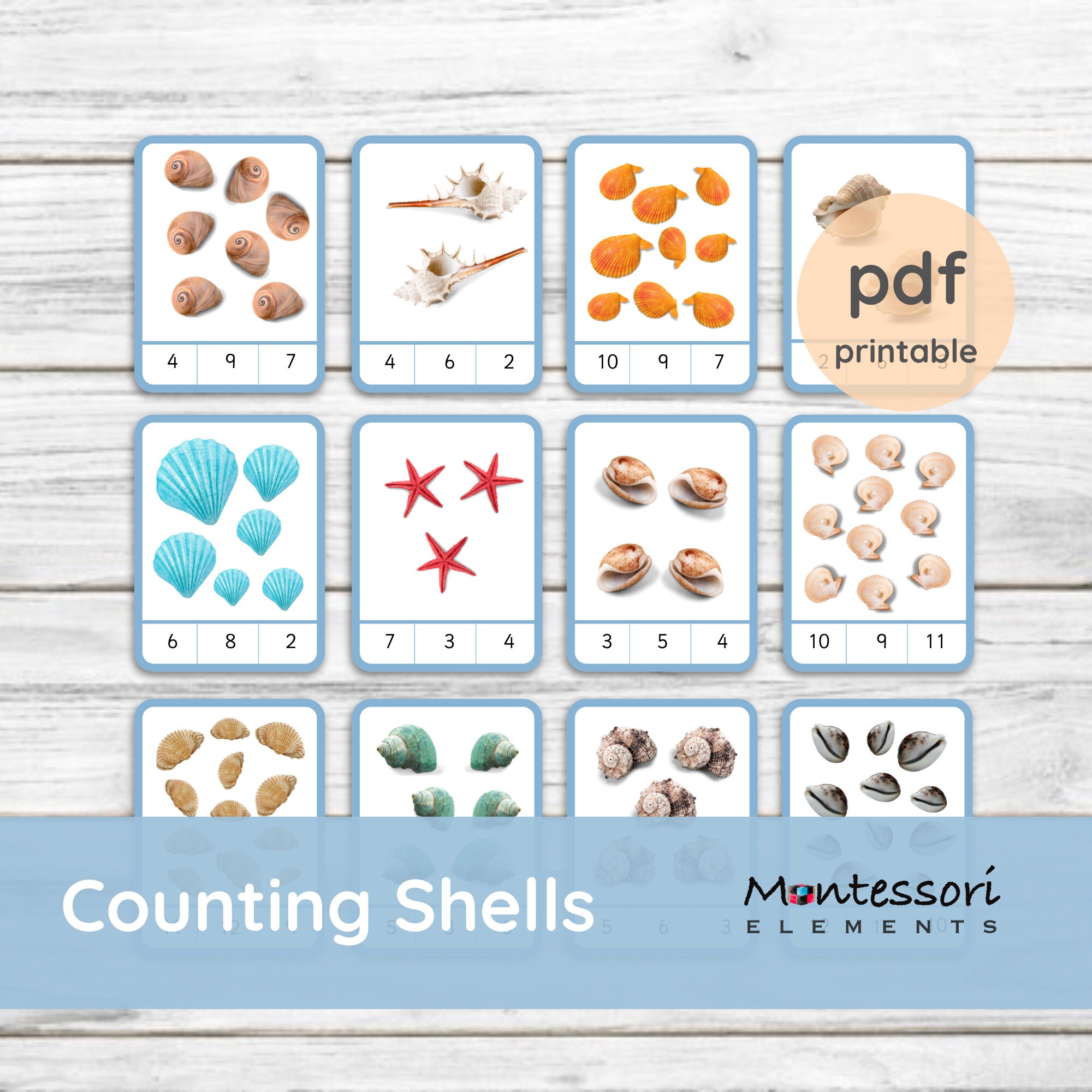 COUNTING SHELLS Clip Cards, Montessori Maths, Number Cards, Learning ...