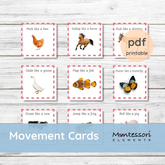 ANIMALS MOVEMENT CARDS Montessori Cards Montessori Prints | Etsy