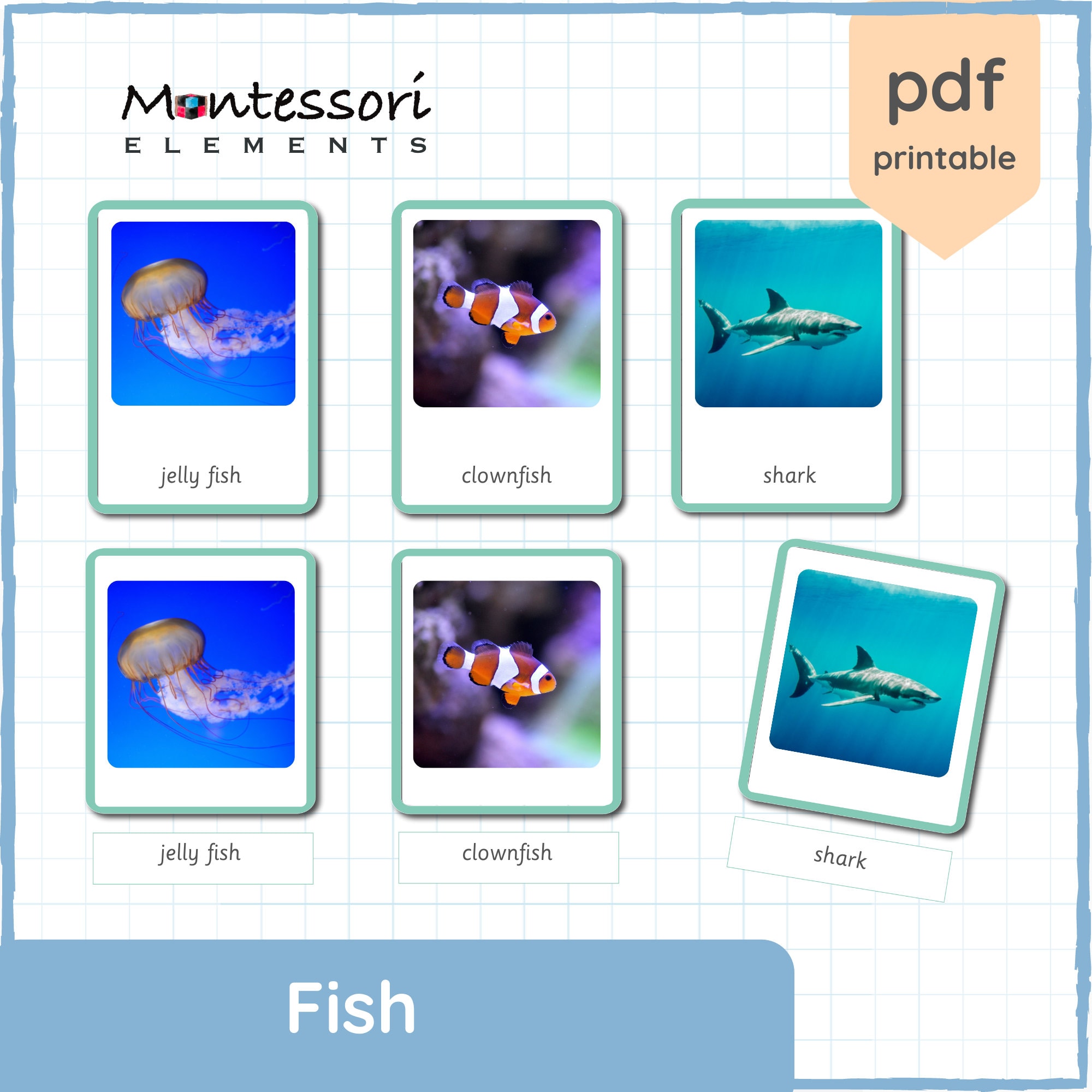 FISH - Montessori Cards, Nomenclature Cards, Montessori Printables ...