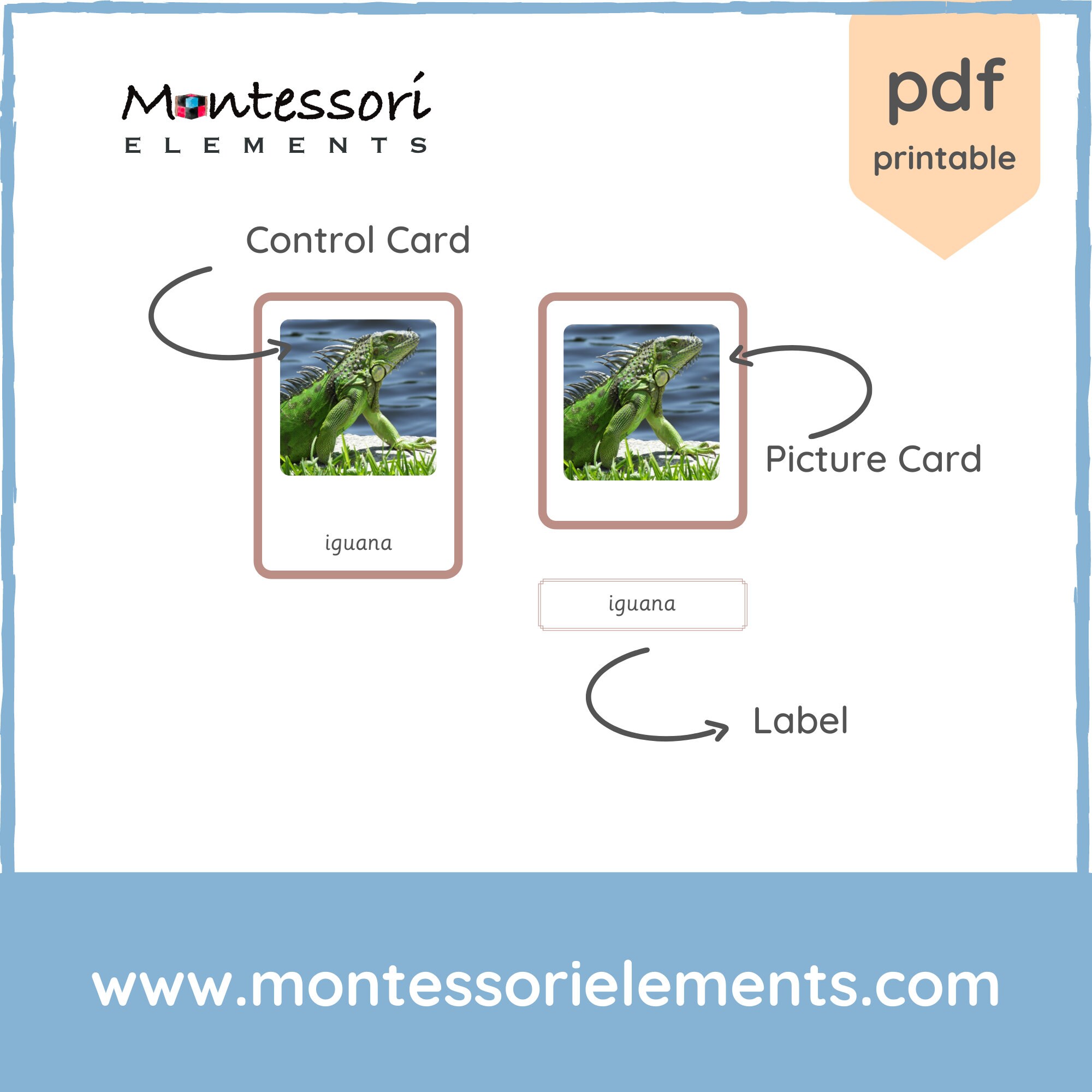 REPTILES - Montessori Cards, Nomenclature Cards, Montessori Printables ...