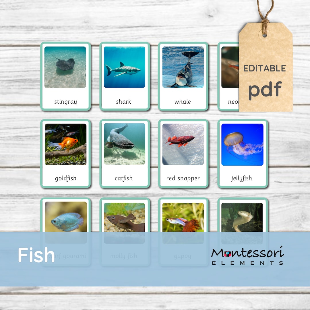 FISH - Montessori Cards, Nomenclature Cards, Montessori Printables ...