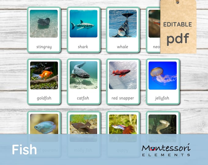 PARTS of a FISH • Montessori Nomenclature Cards - Flash Cards ...