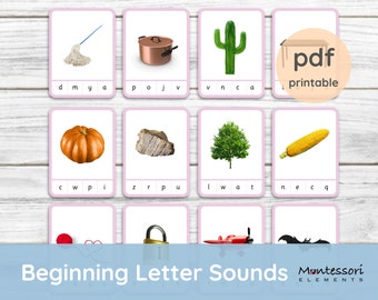 PHONICS GAME - Montessori Language Materials, Letter Sounds, Phonics ...