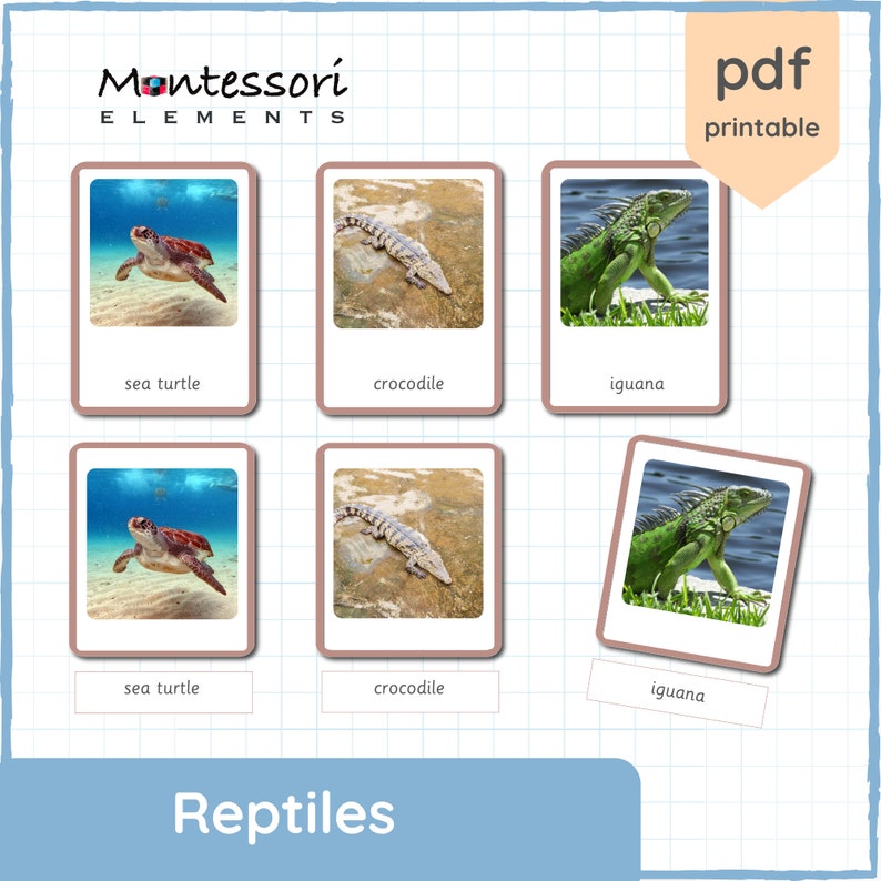REPTILES - Montessori Cards, Nomenclature Cards, Montessori Printables ...