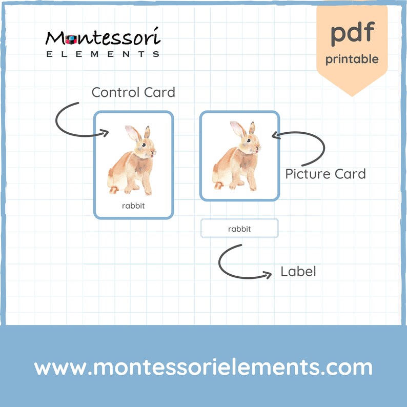 CONTINENTS Montessori Cards, Three Part Cards, Nomenclature Cards ...